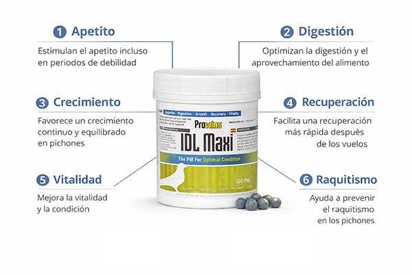 Nuevo Prowins idl Maxi Pills, píldoras para palomas de alta competición